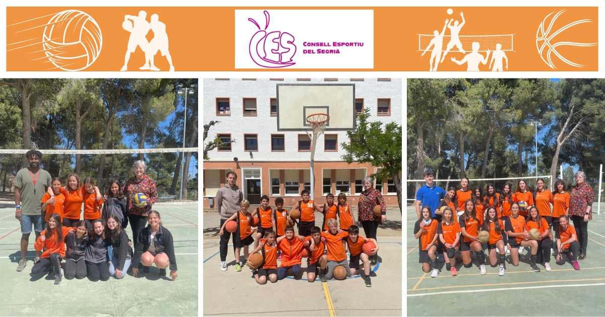 Equips de bàsquet i vòlei de l'escola es classifiquen per a les Finals ...