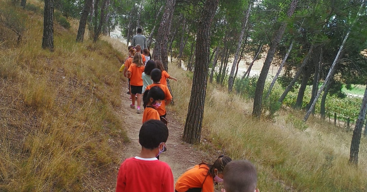 Una escola enmig de la natura | Jesuïtes Lleida